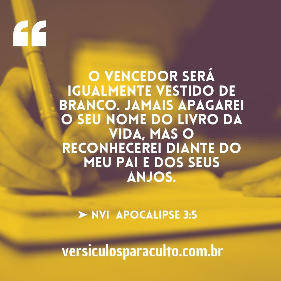 14 versículos de livro da vida que revelam o propósito de Deus na vida ...